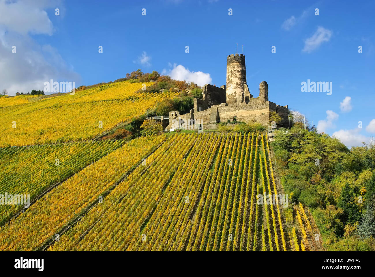 Furstenberg castle ruin hi-res stock photography and images - Alamy