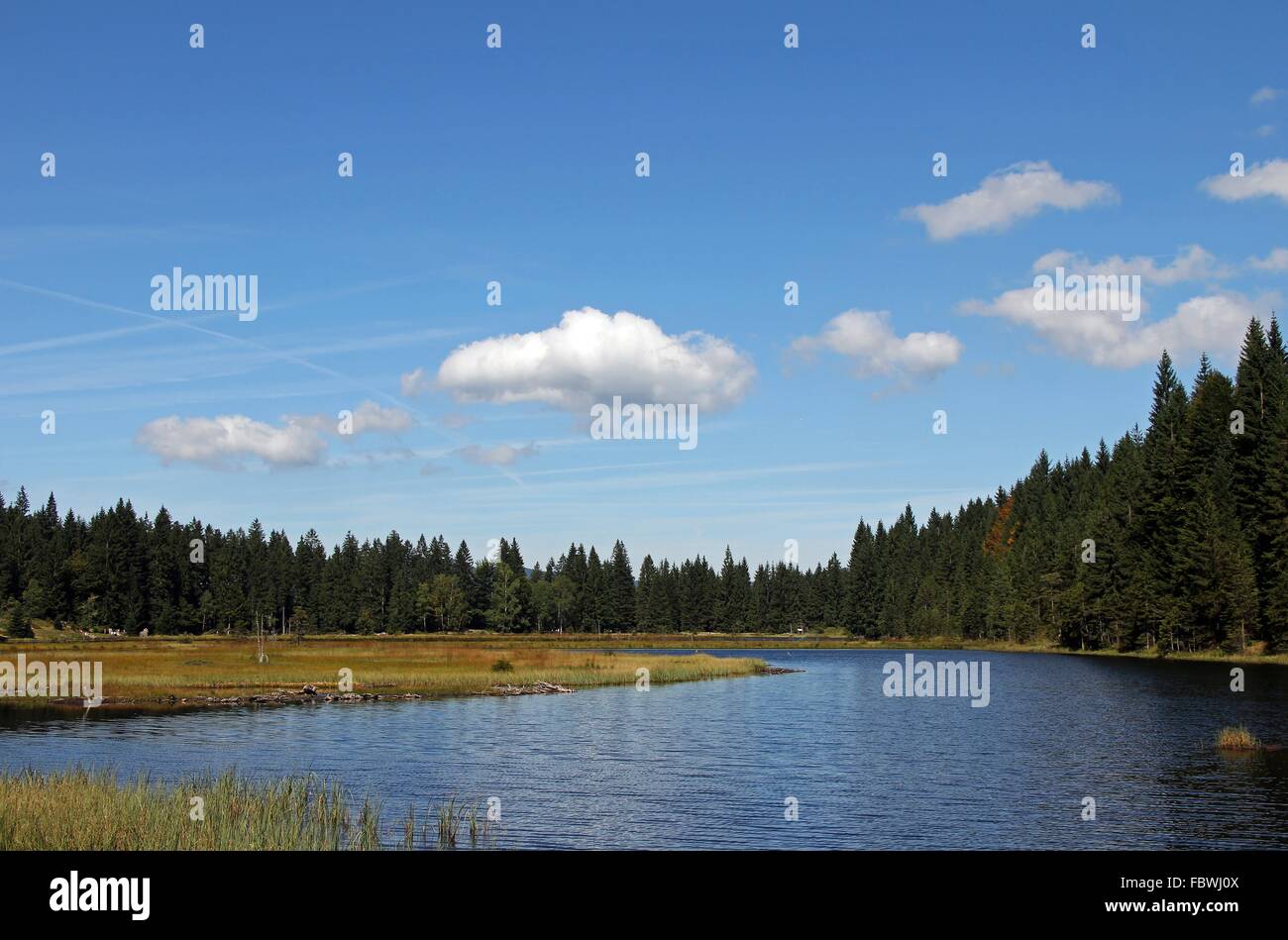 Lake Kleiner Arbersee Stock Photo - Alamy
