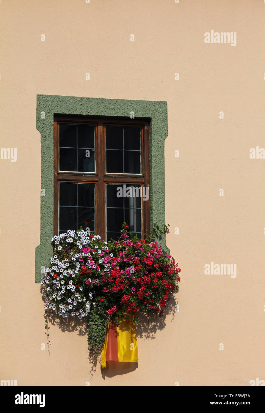 Old window with flowers Stock Photo - Alamy