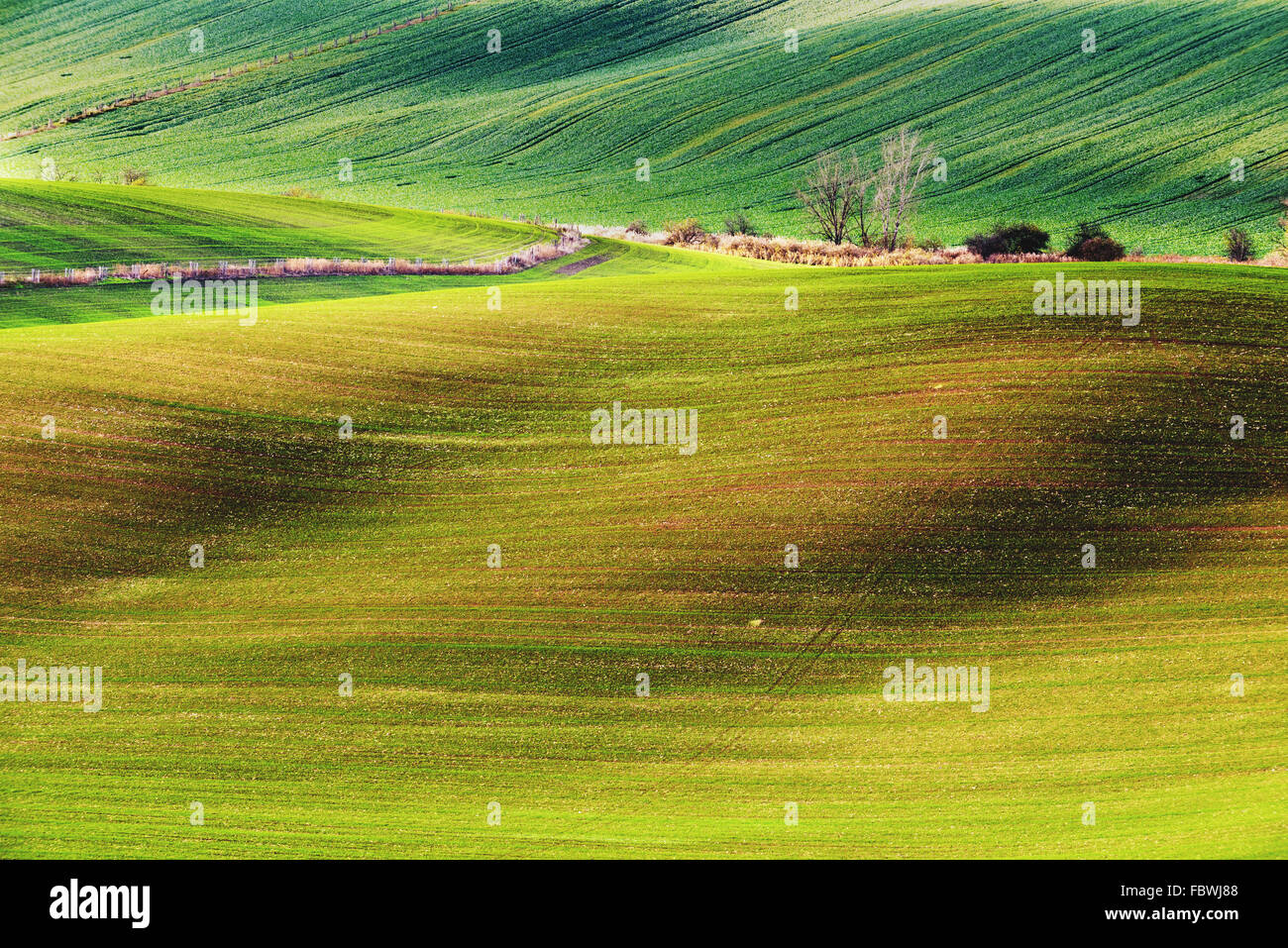 Czech countryside, south Moravia Stock Photo - Alamy