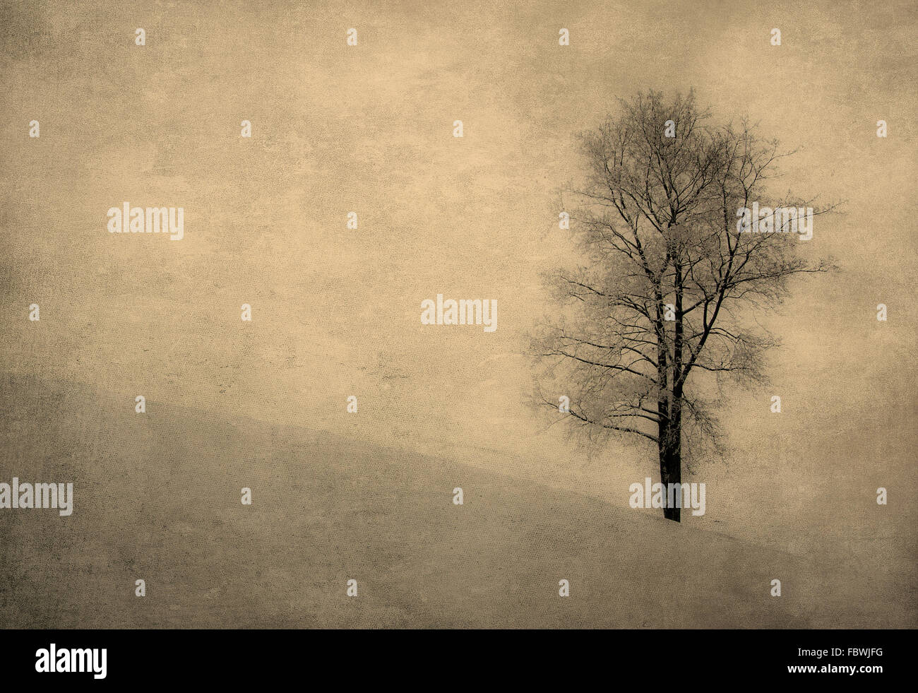 vintage image of a tree over grunge background Stock Photo - Alamy
