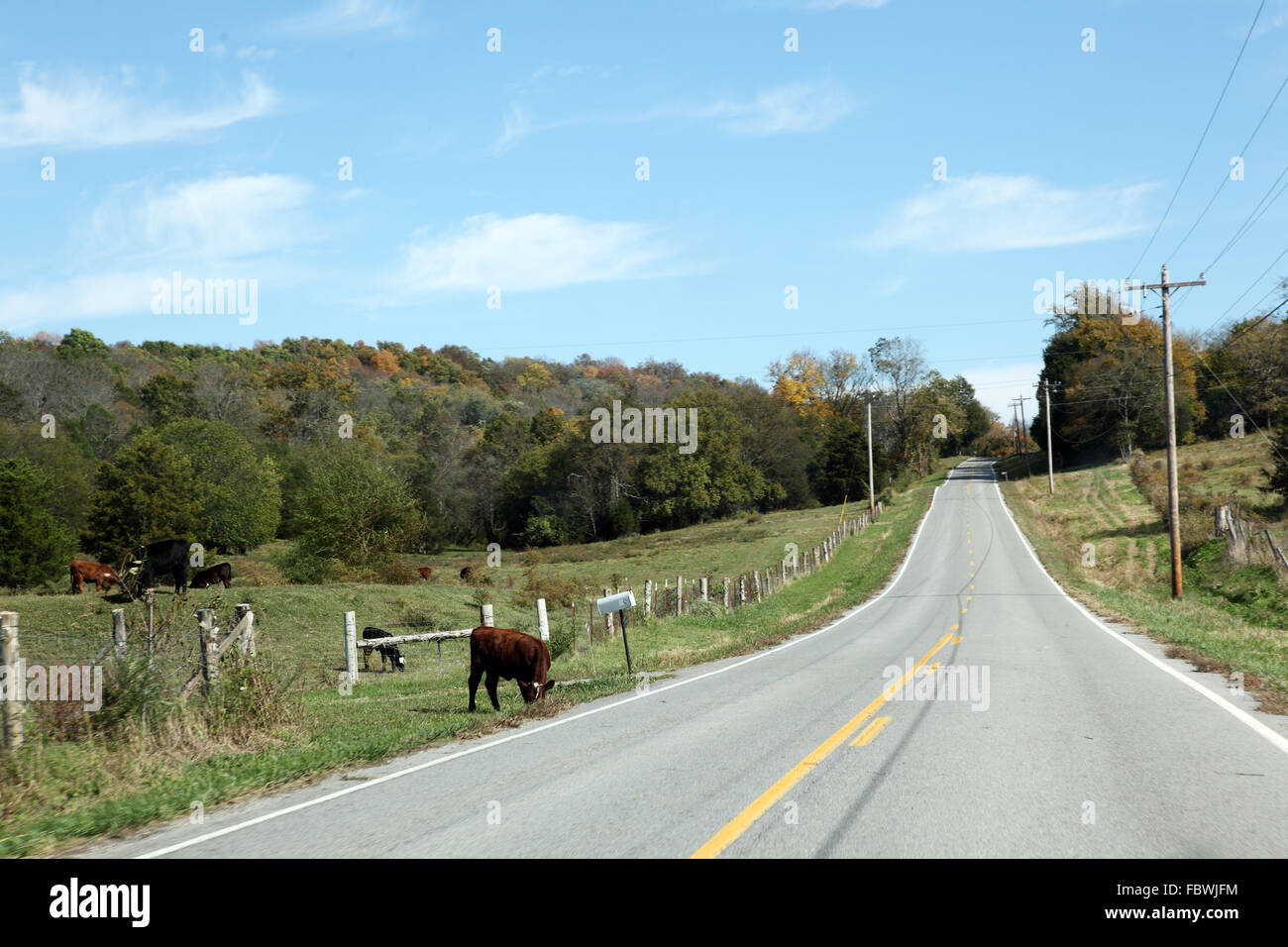 Countryroad hi-res stock photography and images - Alamy