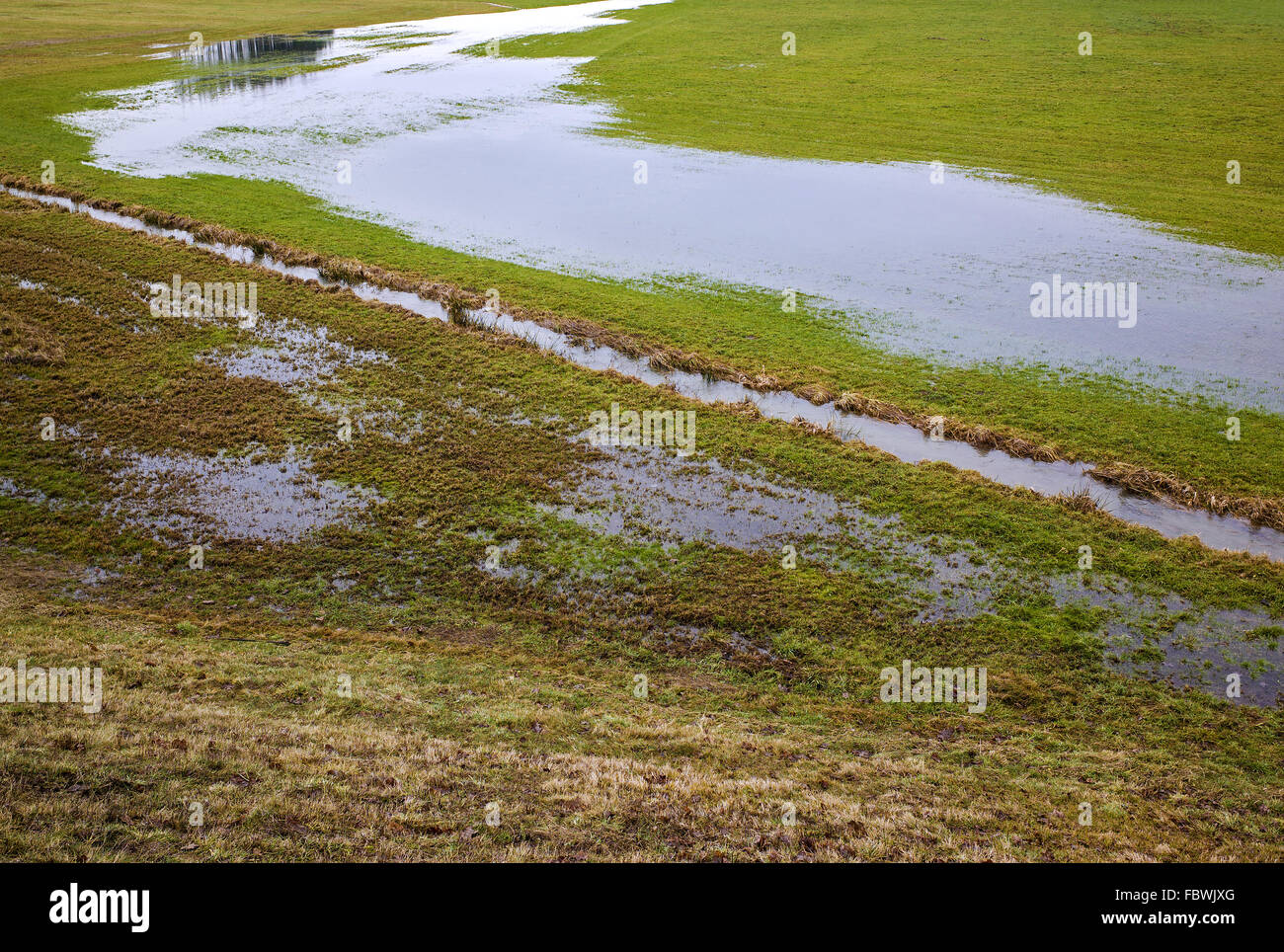 Marsh areas hi-res stock photography and images - Alamy