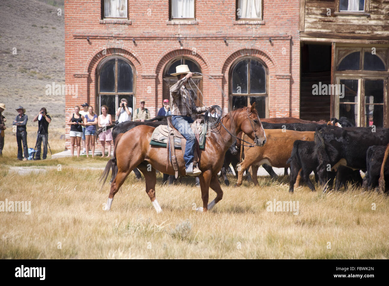 Cattle town history hi-res stock photography and images - Alamy