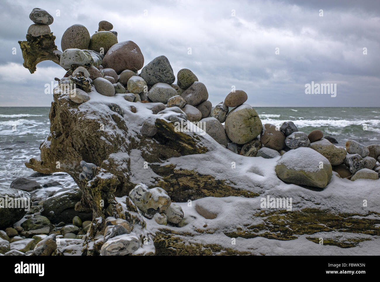Stones in tree roots hi-res stock photography and images - Alamy