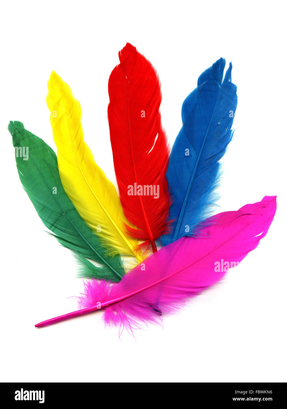 Background with colored feathers Stock Photo - Alamy