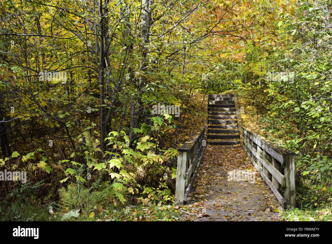 Pathway on bridge in hi-res stock photography and images - Alamy