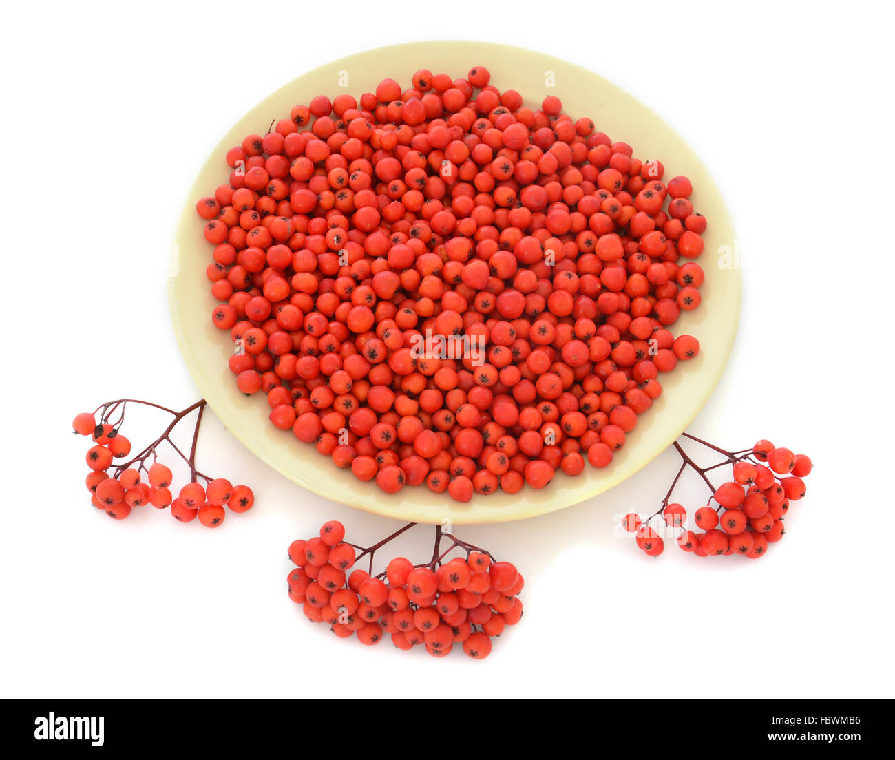 Bitter ash hi-res stock photography and images - Alamy