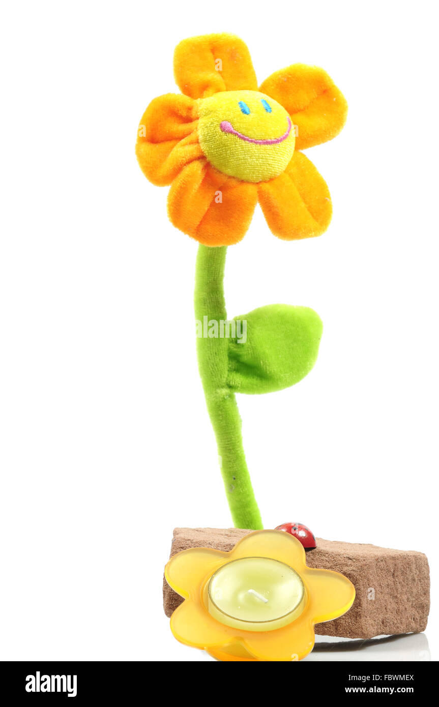Laughing flower hi-res stock photography and images - Alamy