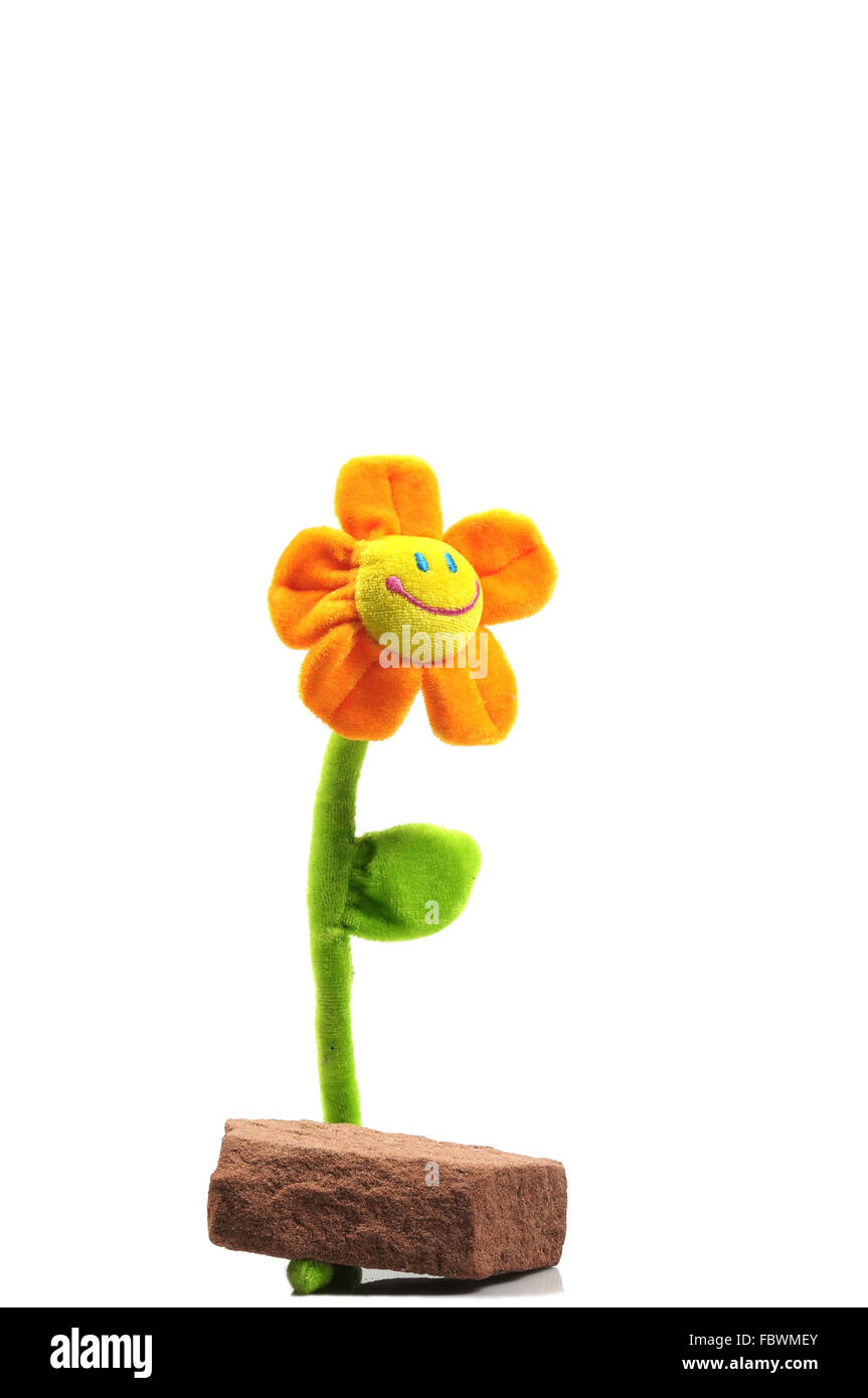 Laughing flower hi-res stock photography and images - Alamy
