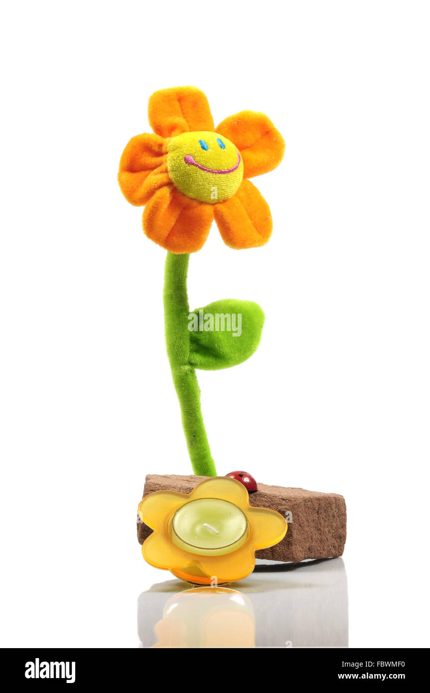 Laughing flower hi-res stock photography and images - Alamy