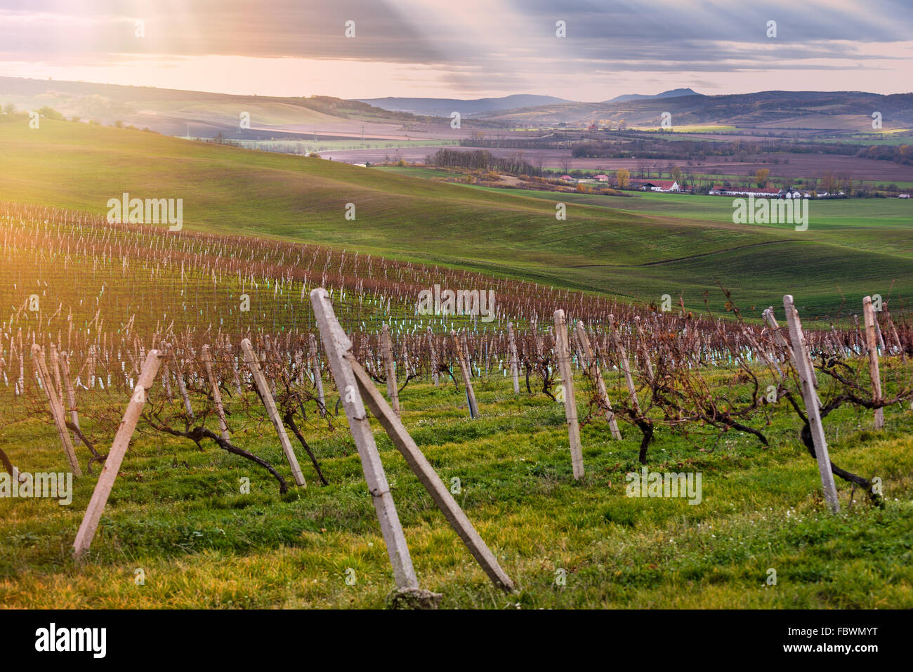 Czech countryside, south Moravia Stock Photo - Alamy