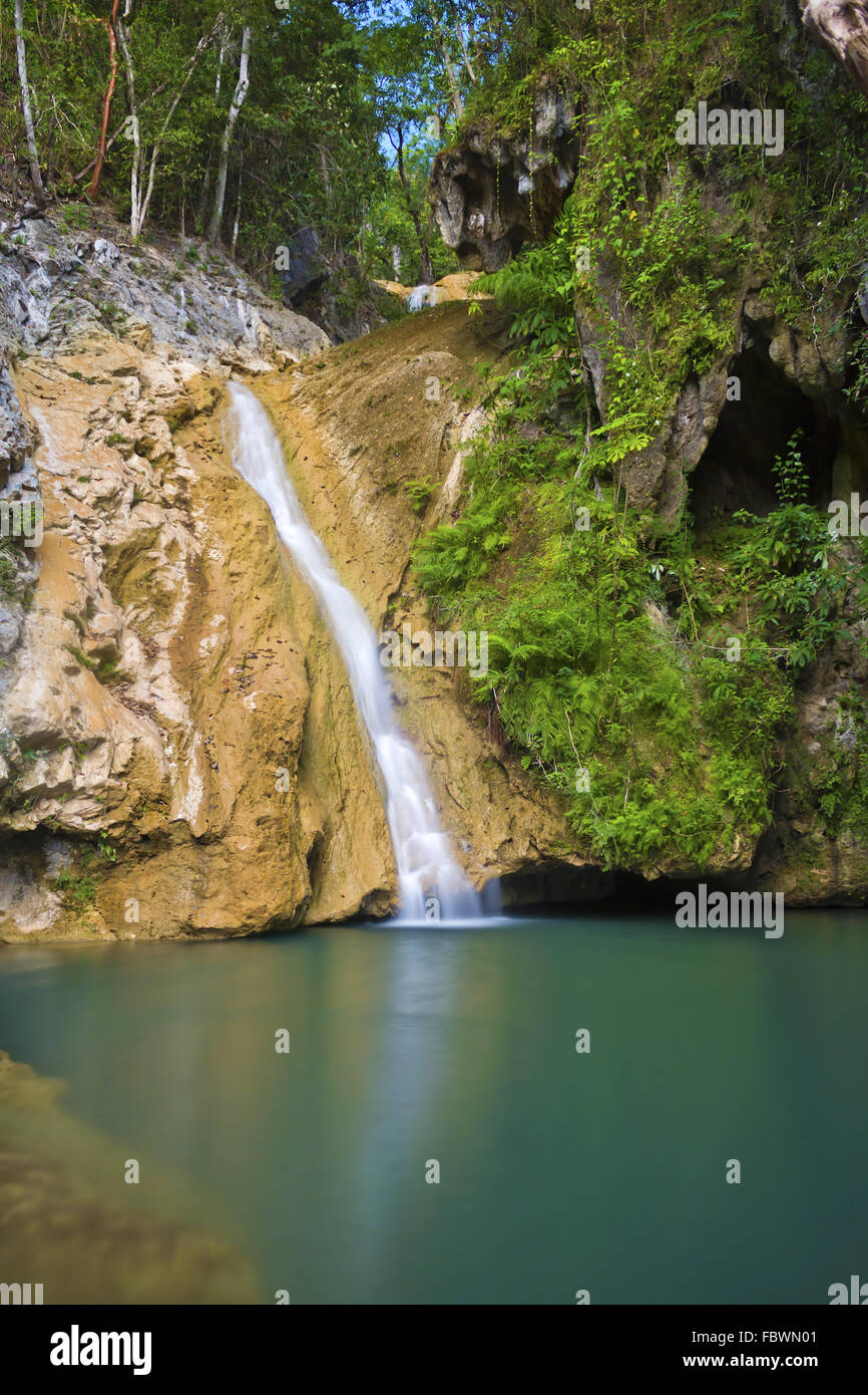 Waterfall in the hinterland of Trinidad Stock Photo - Alamy