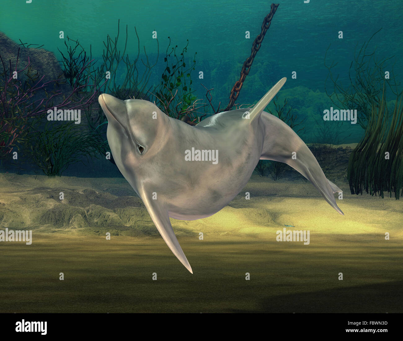 Dolphin under sea hi-res stock photography and images - Alamy