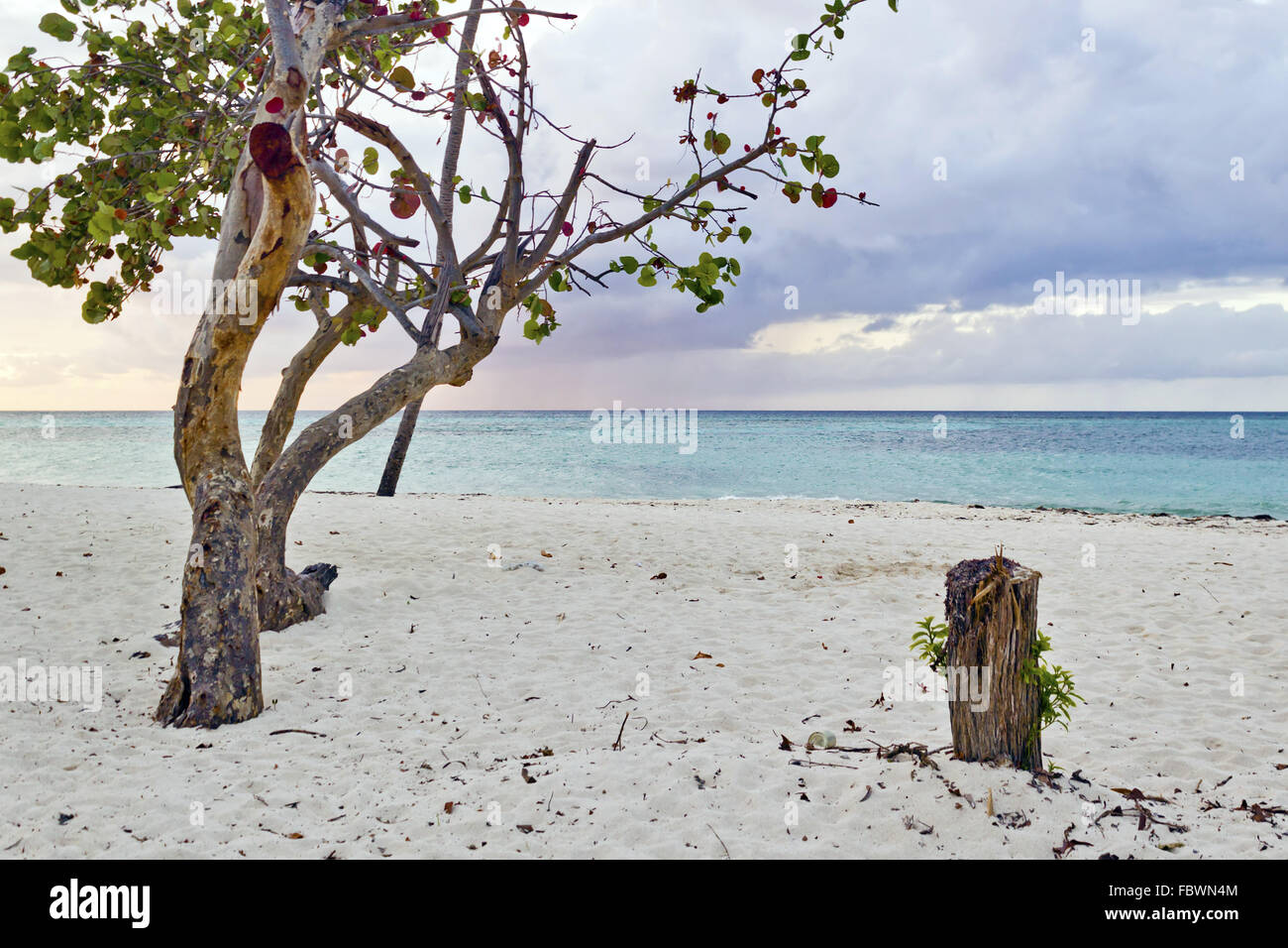 Beach at Guardalavaca, Cuba Stock Photo - Alamy