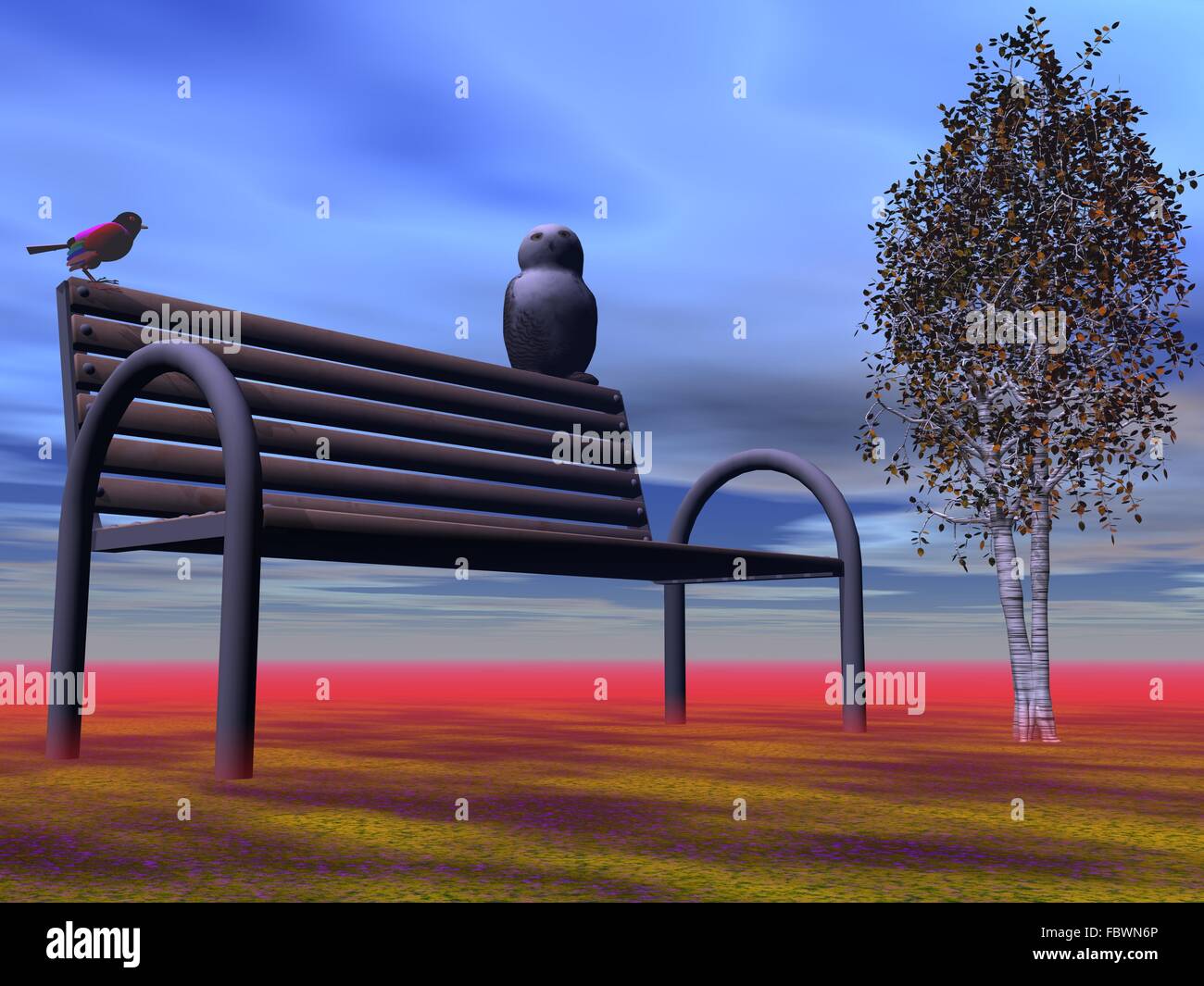 bench and birds Stock Photo - Alamy