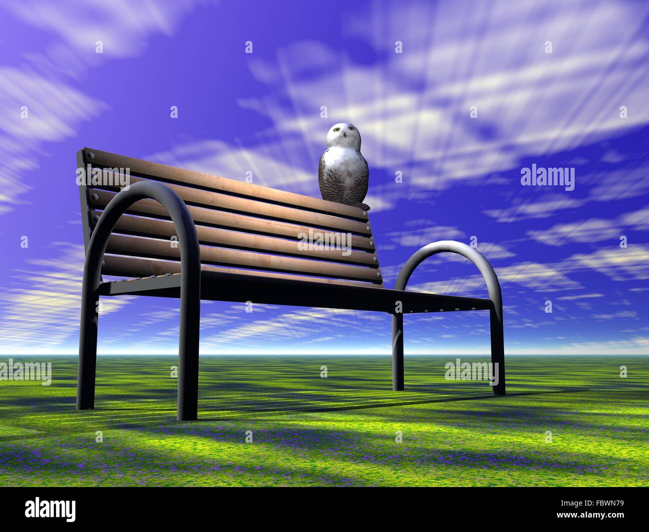 bench and birds Stock Photo - Alamy