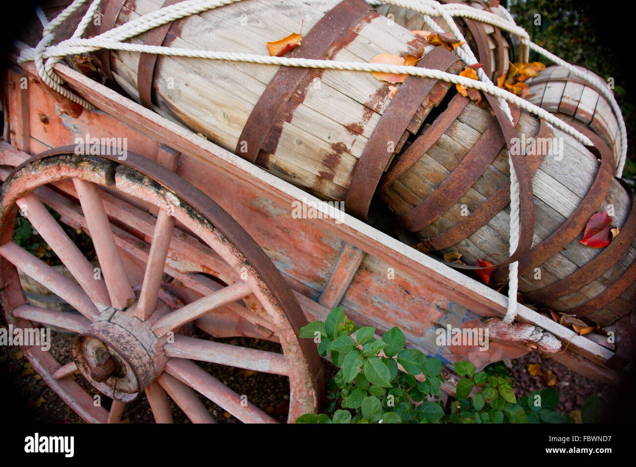 Auld Irish Wagon Stock Photo - Alamy