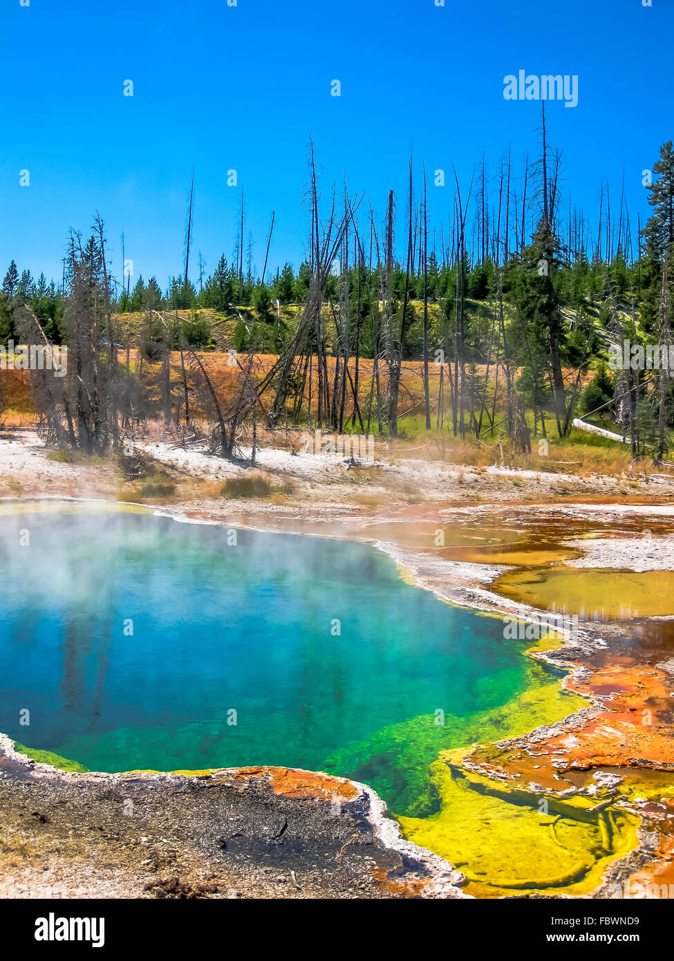 Yellowstone west thumb hi-res stock photography and images - Alamy