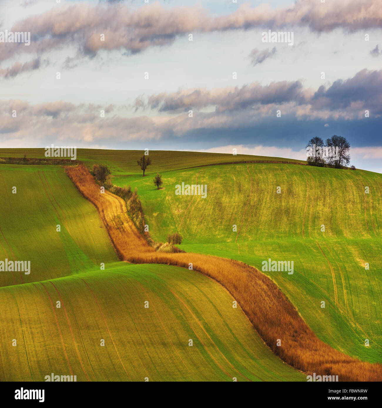 Czech countryside, south Moravia Stock Photo - Alamy