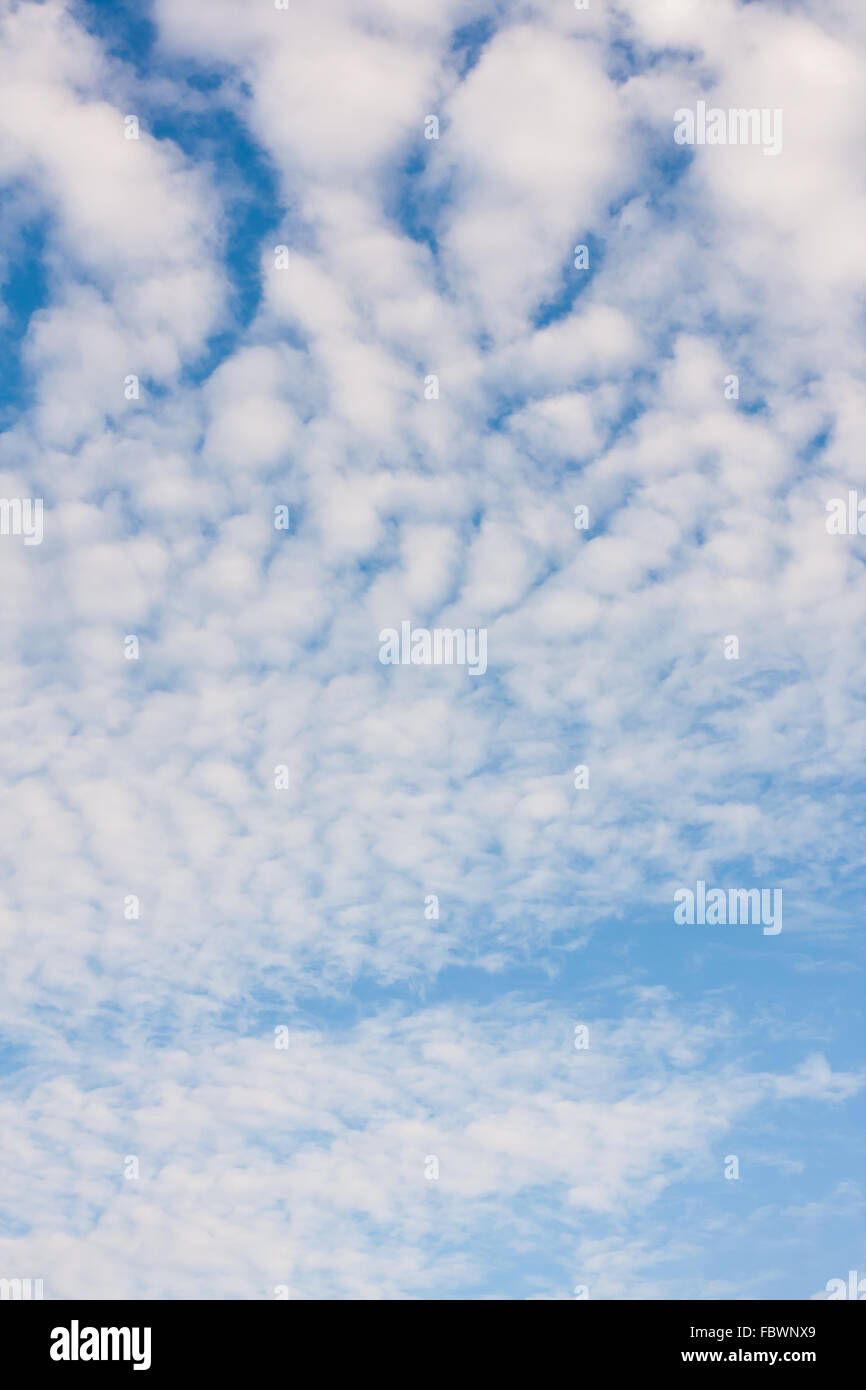 Dense formation hi-res stock photography and images - Alamy