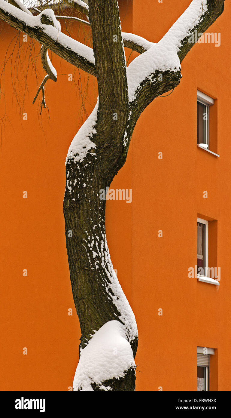 Bole structure hi-res stock photography and images - Alamy