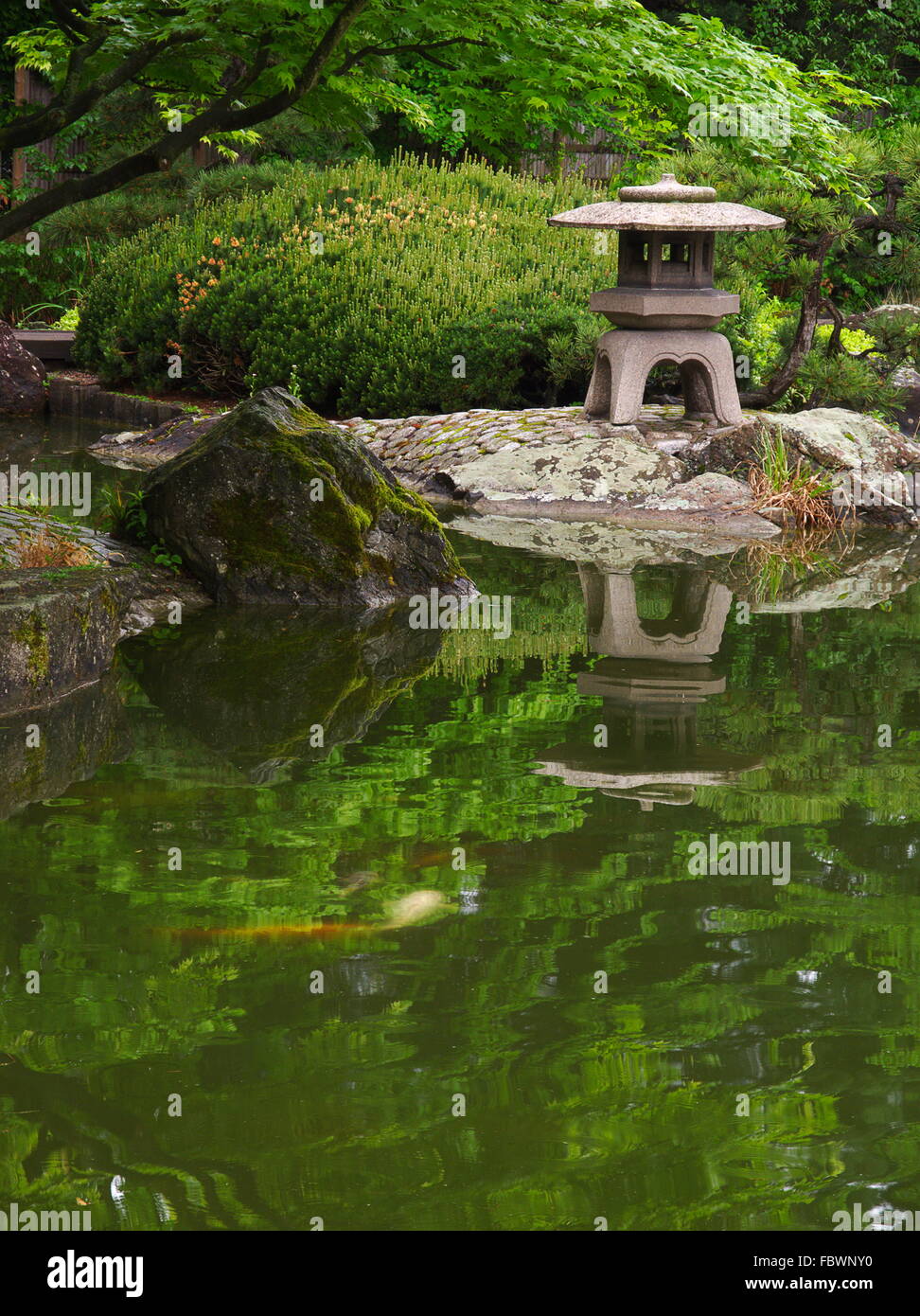 Japanese rock garden shrubs hi-res stock photography and images - Alamy