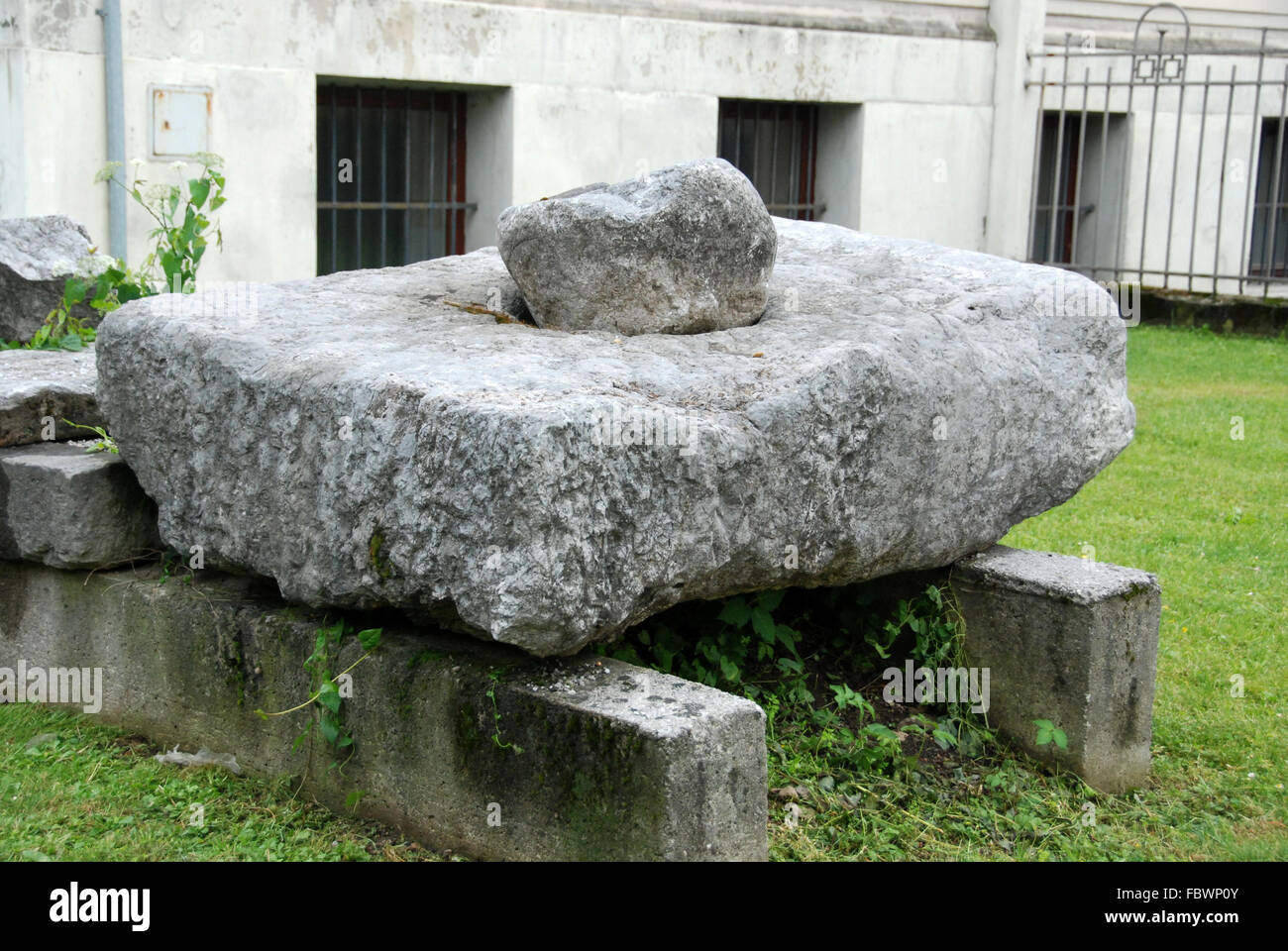 Cloaca hi-res stock photography and images - Alamy