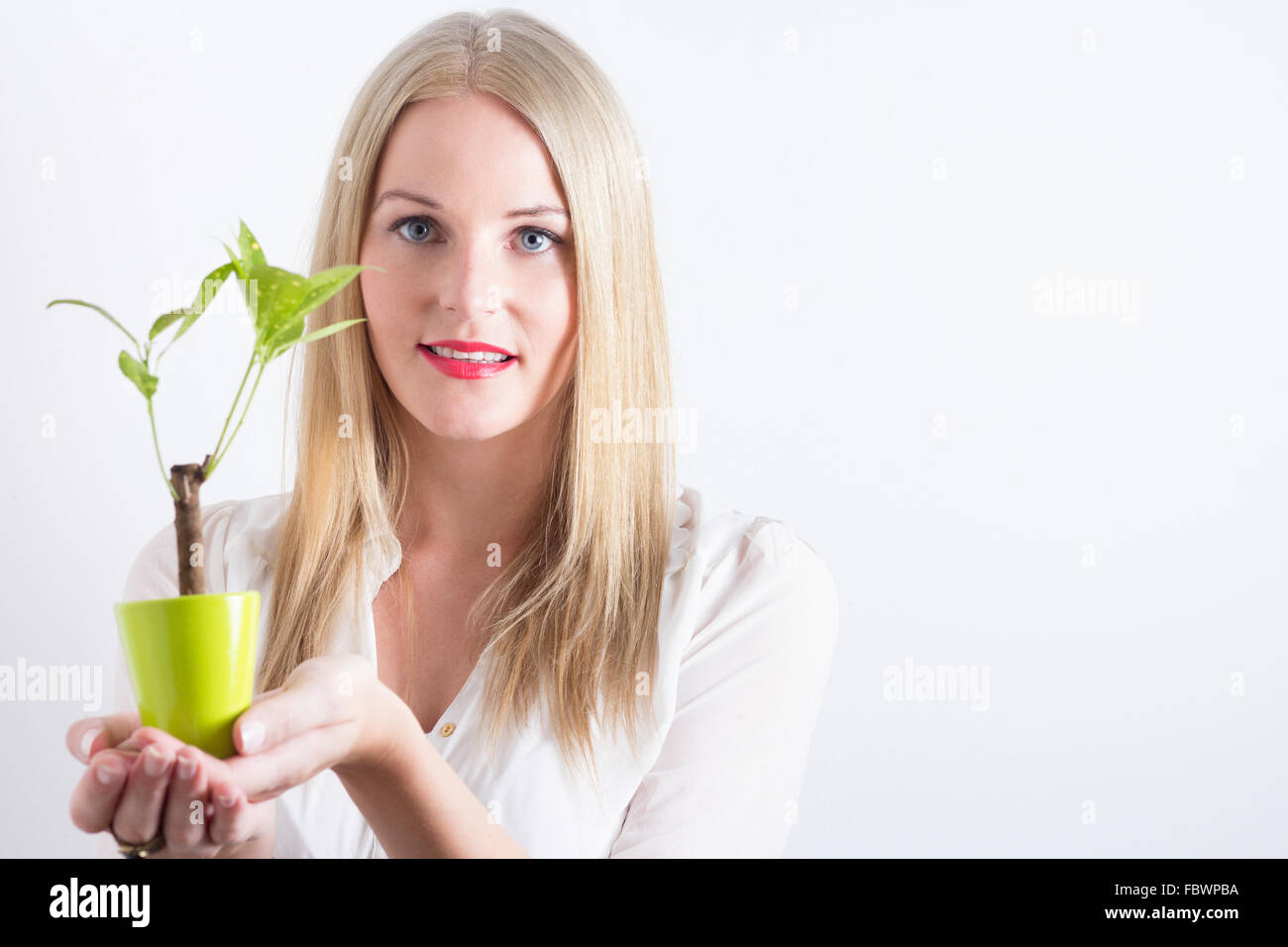 Young tree care hi-res stock photography and images - Alamy