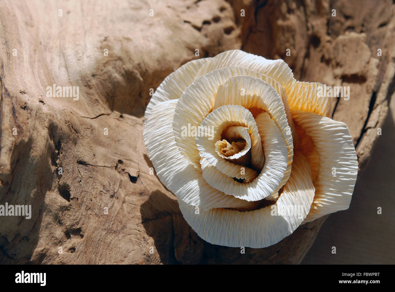 Rose paper texture hi-res stock photography and images - Alamy