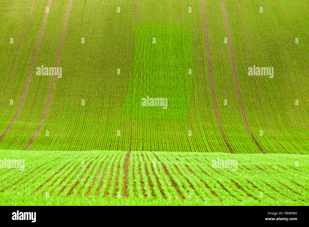 Czech countryside, south Moravia Stock Photo - Alamy