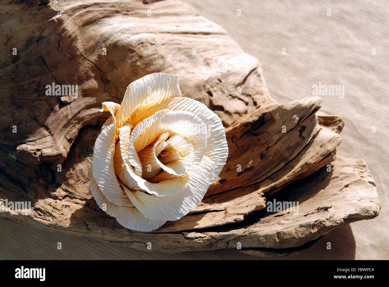 Paper handmade rose hi-res stock photography and images - Alamy