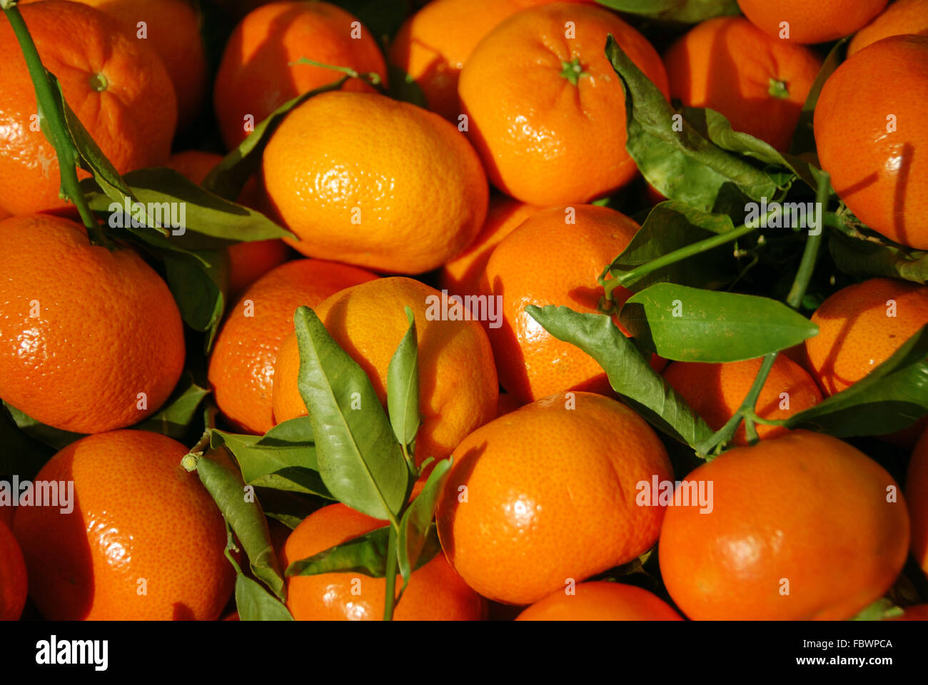 Heap of mandarins hi-res stock photography and images - Alamy