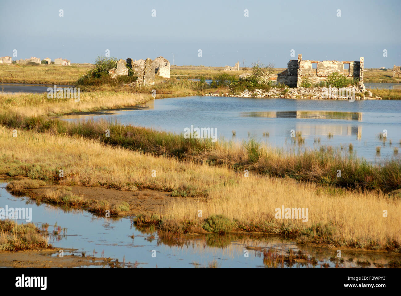 Ruins in salt marsh Stock Photo - Alamy