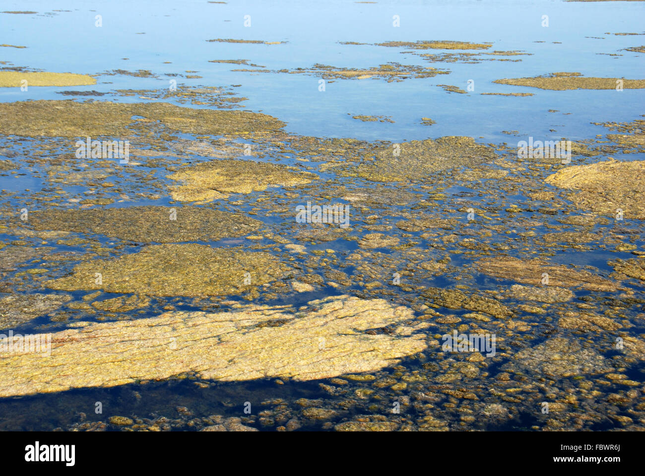 Saltmarsh environment hi-res stock photography and images - Alamy