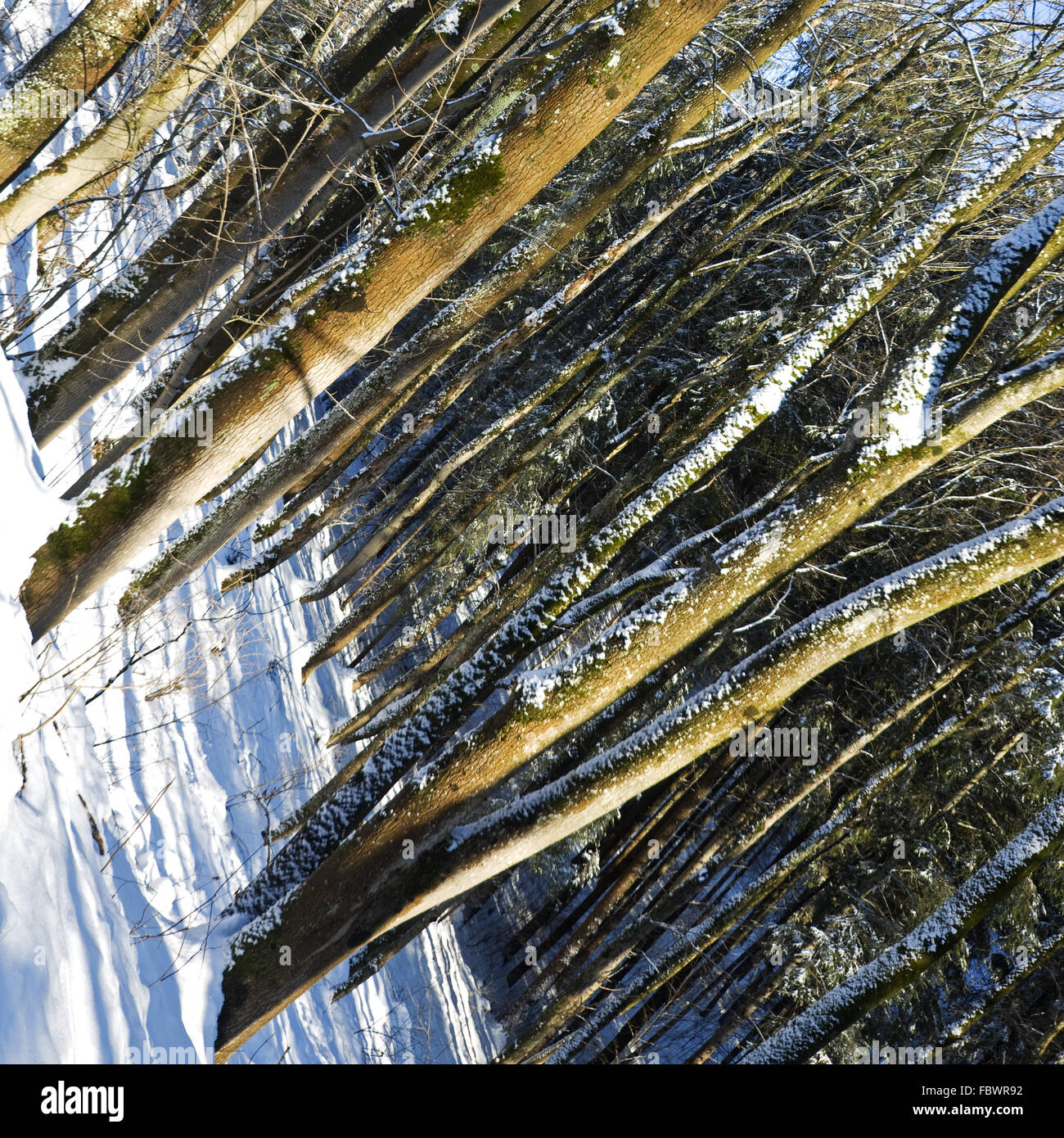 Wood for winter hi-res stock photography and images - Alamy