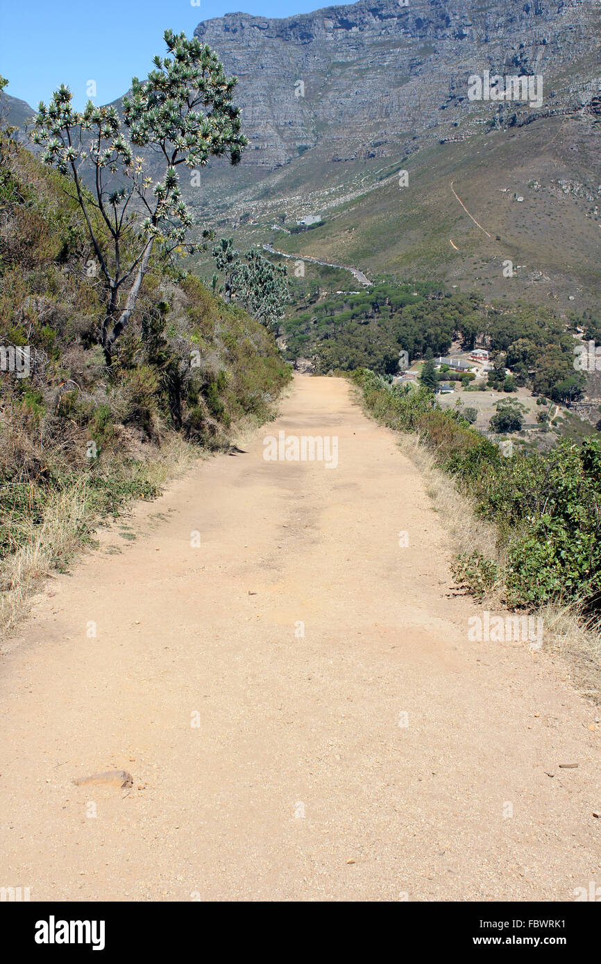 Table path hi-res stock photography and images - Alamy