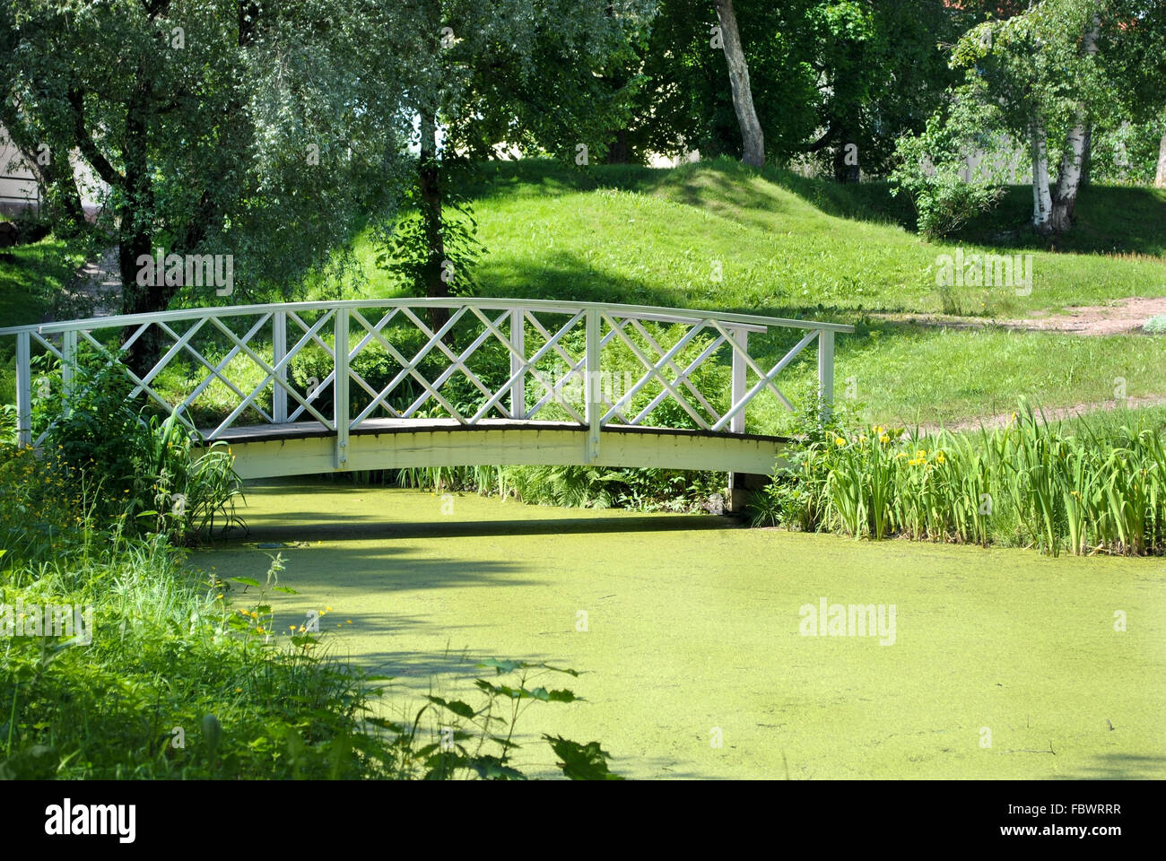 Pond in city park hi-res stock photography and images - Alamy