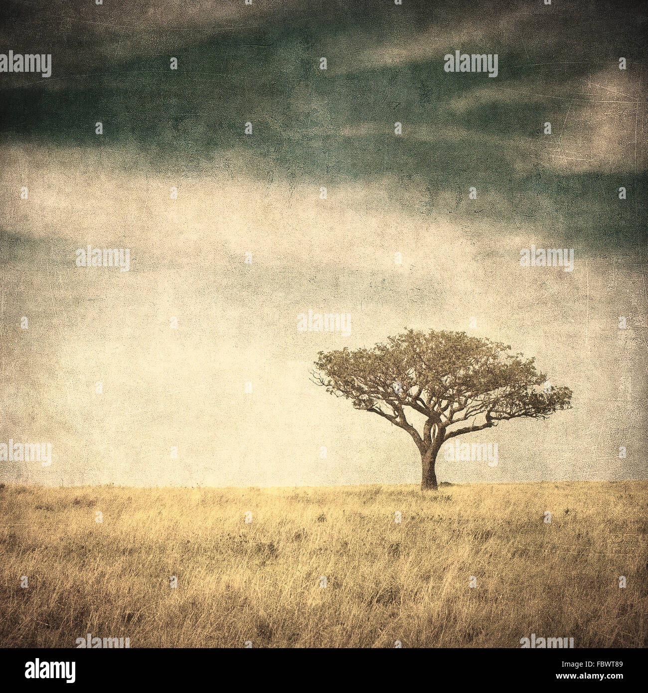 grunge image of a tree over grunge background Stock Photo - Alamy