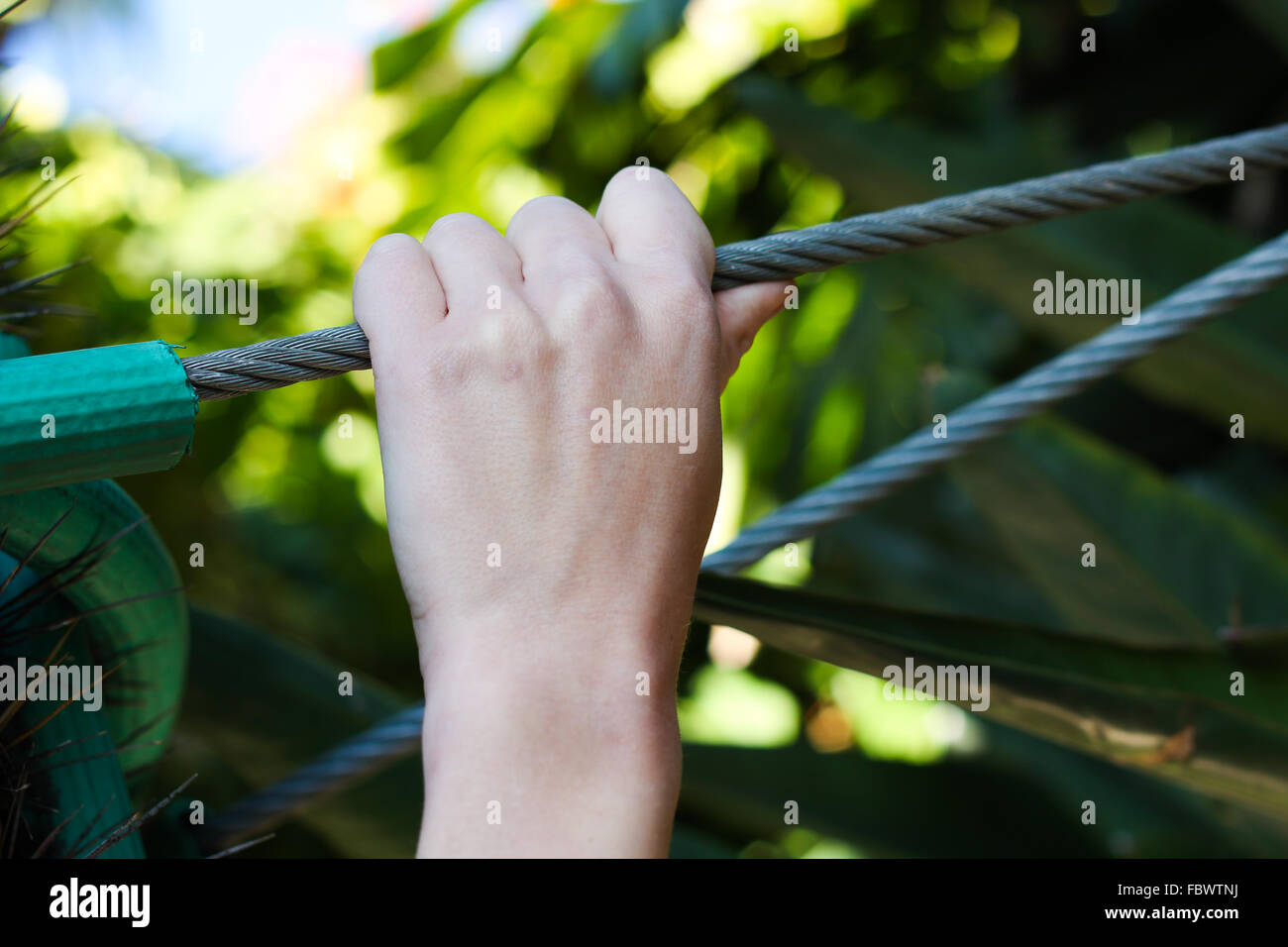 Hand holding onto a Wire cable Stock Photo - Alamy