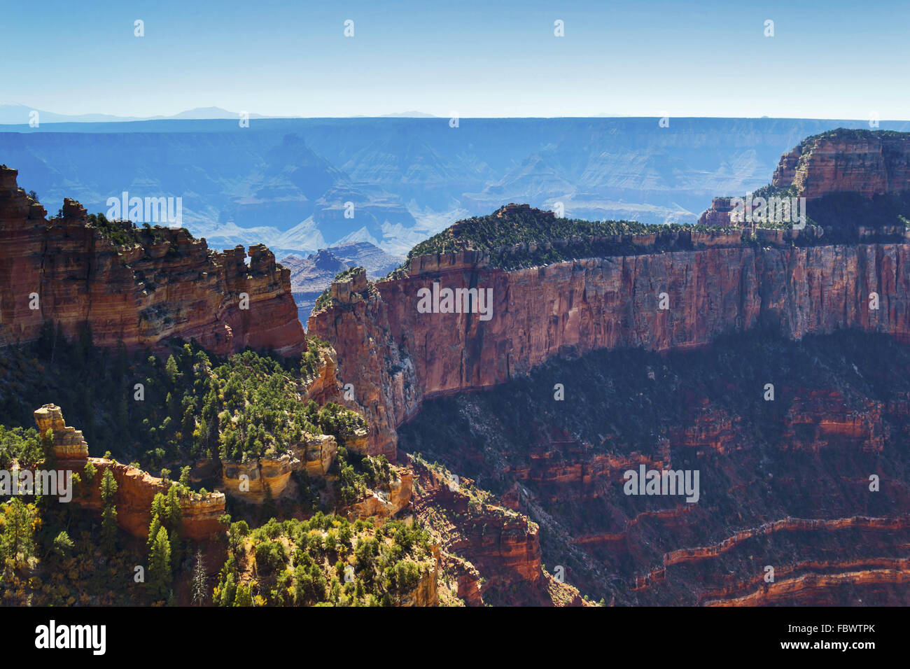 At the North Rim Stock Photo - Alamy