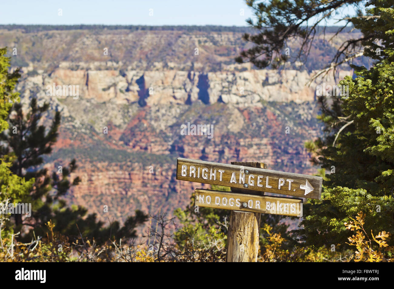 Bright Angel Point at the North Rim Stock Photo - Alamy