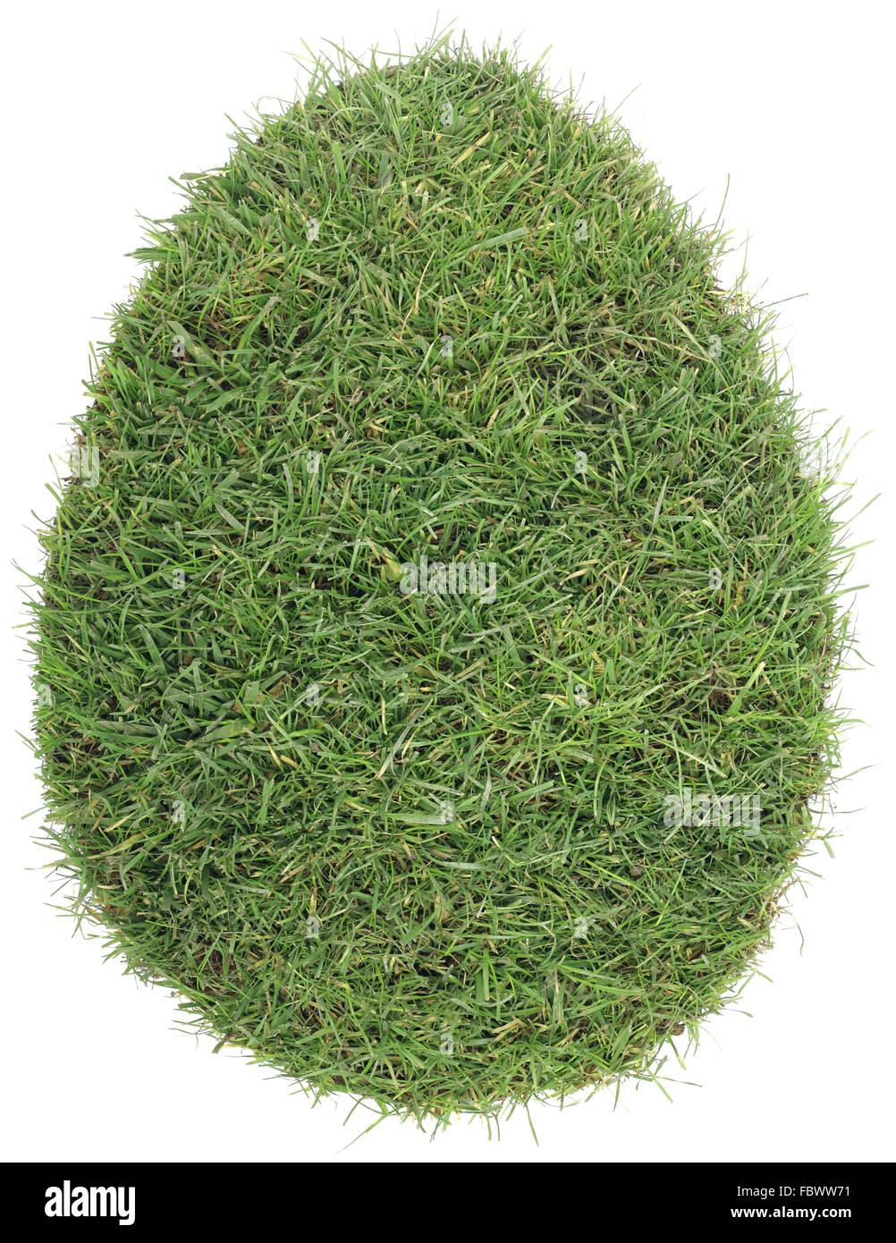 Grass oval hi-res stock photography and images - Alamy