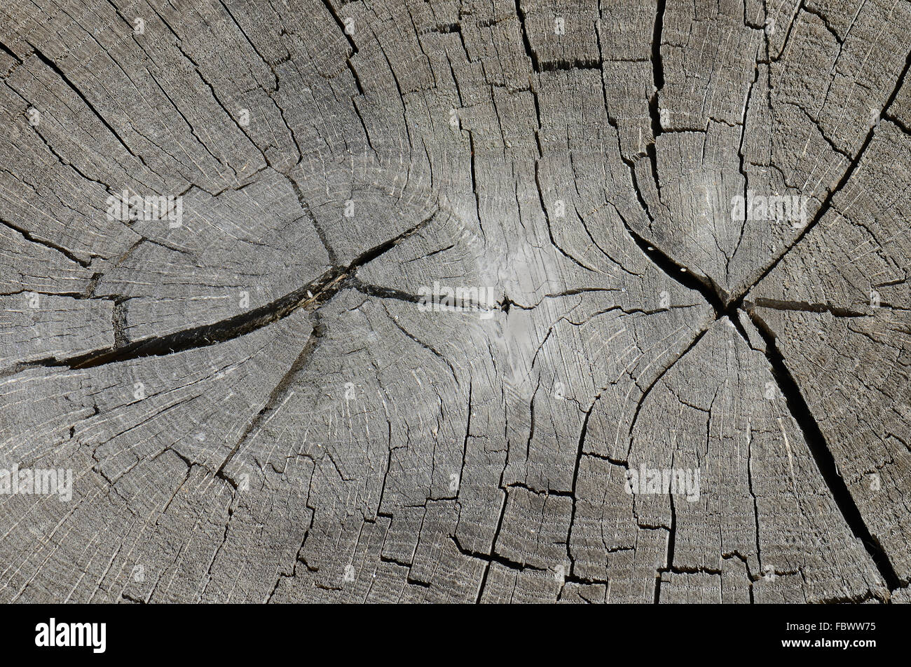 close up rough old wood texture background Stock Photo - Alamy