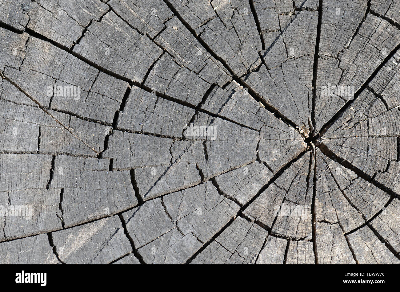 close up rough old wood texture background Stock Photo - Alamy