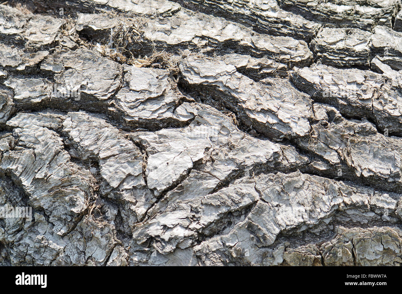 close up rough old wood texture background Stock Photo - Alamy