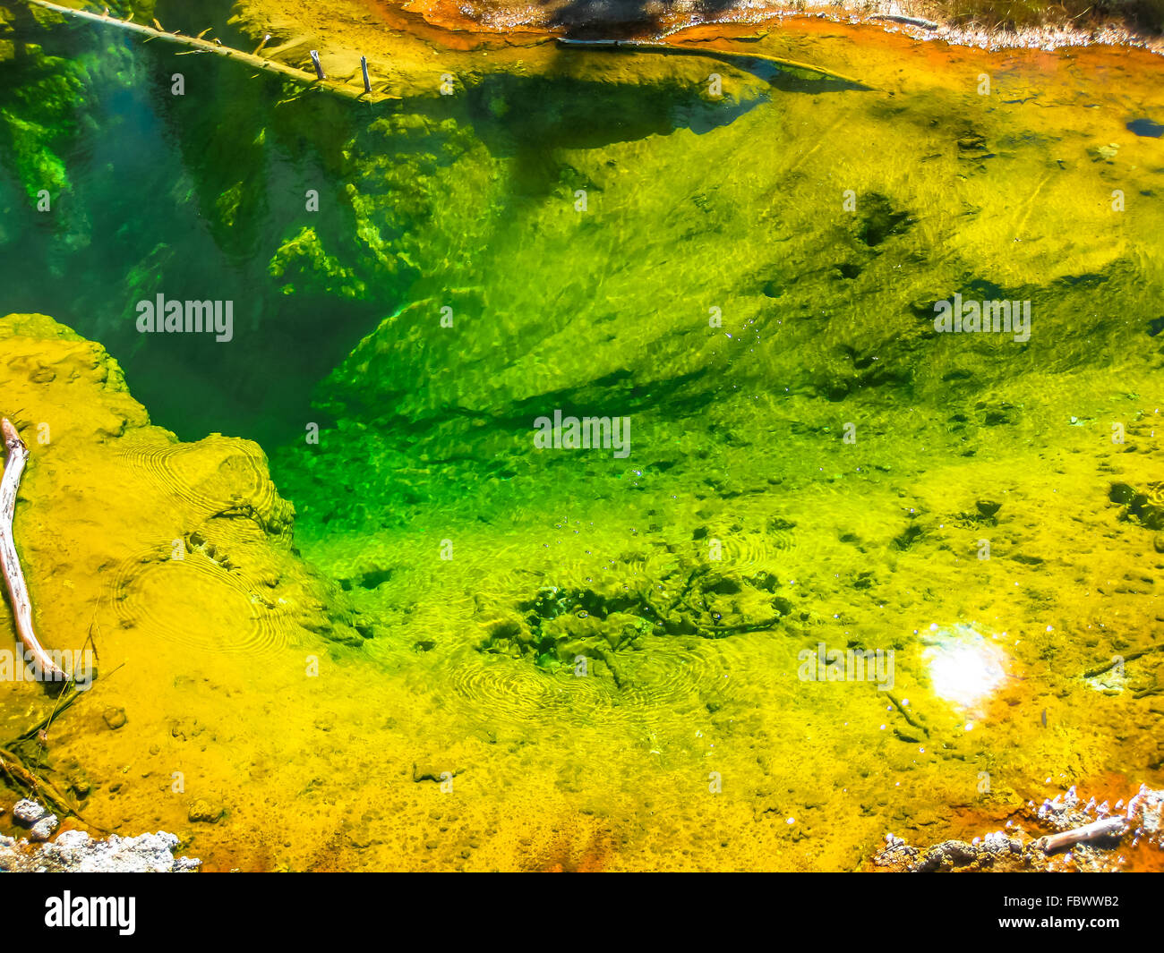 Yellowstone Seismograph Pool Stock Photo - Alamy Yellowstone Seismograph Pool Stock Photo - Alamy