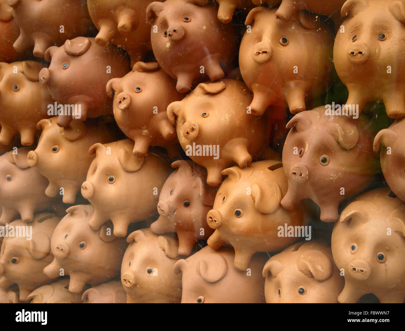Little pigs hi-res stock photography and images - Alamy