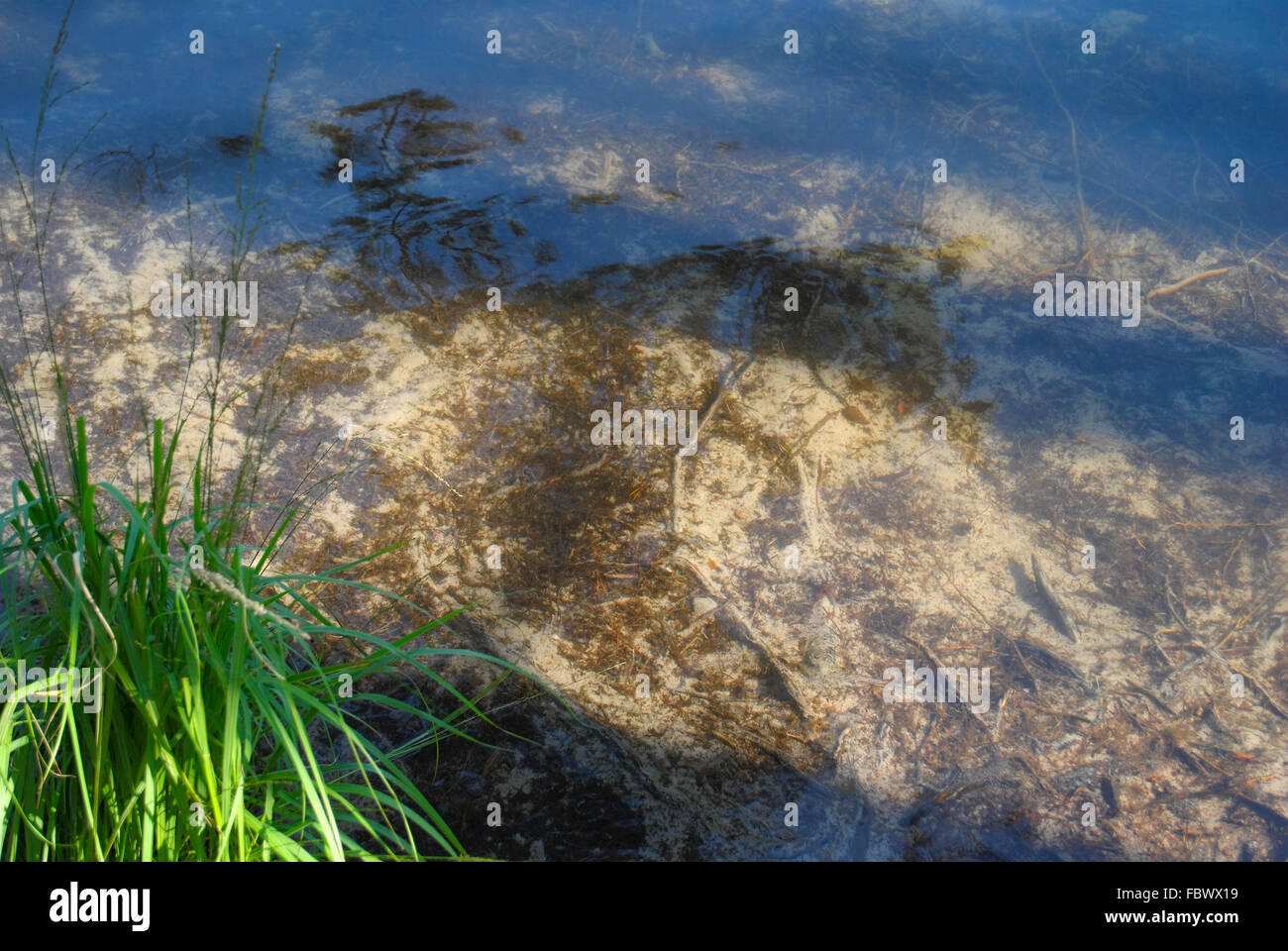 Bottom of the lake Stock Photo - Alamy