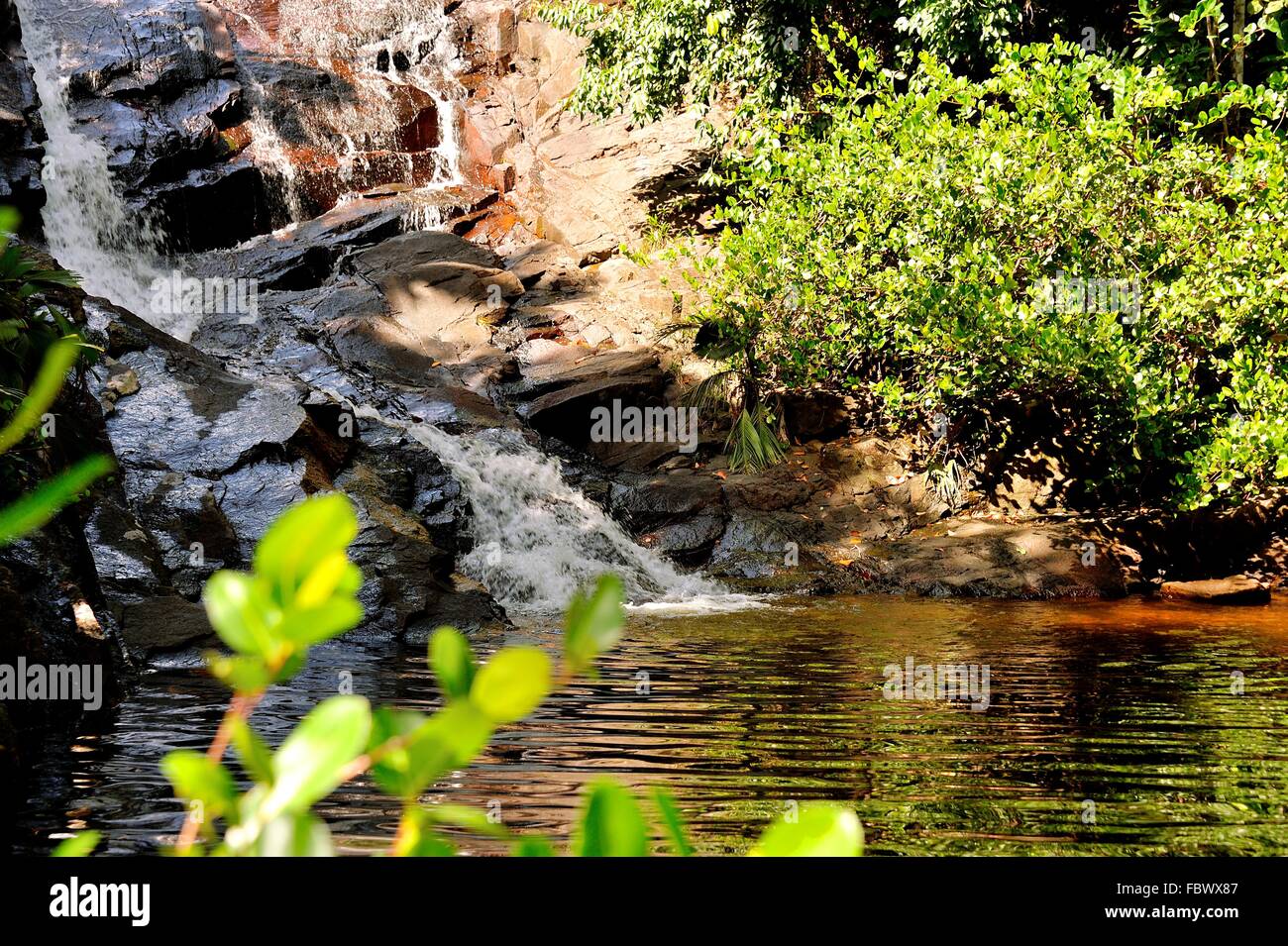 Waterfall Seychelles